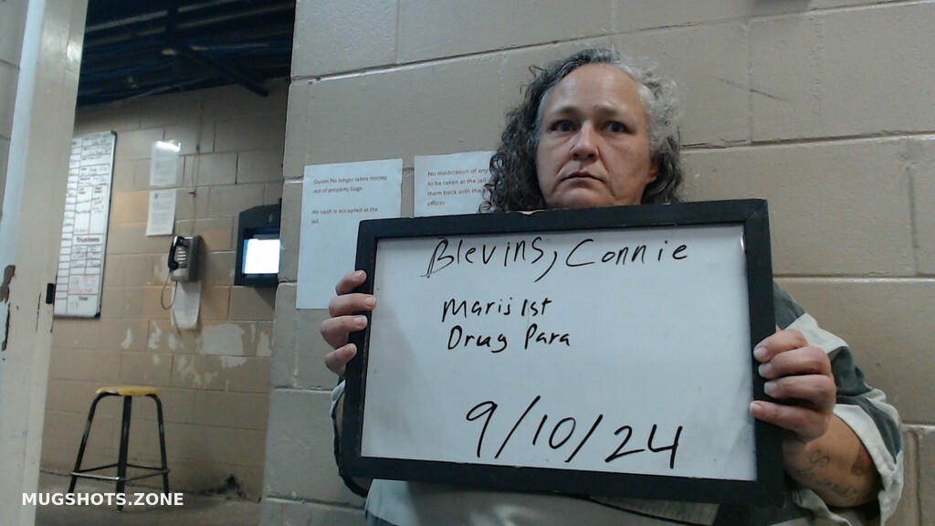 BLEVINS CONNIE L 09/10/2024 - Marion County Mugshots Zone