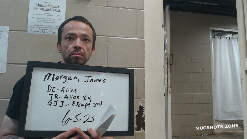MORGAN JAMES 06/05/2025 - Marion County Mugshots Zone
