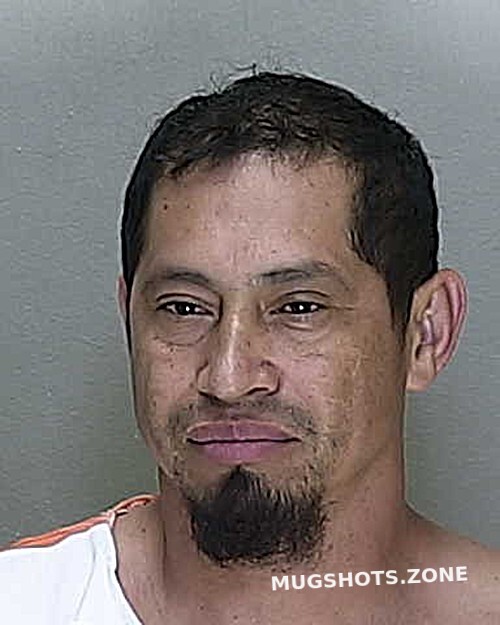 CRUZ-SALGADO OSCAR MAURICIO 12/17/2022 - Marion County Mugshots Zone