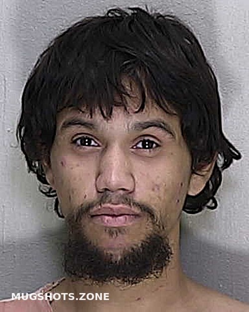 TORRES LUIS DANIEL 12/24/2022 - Marion County Mugshots Zone