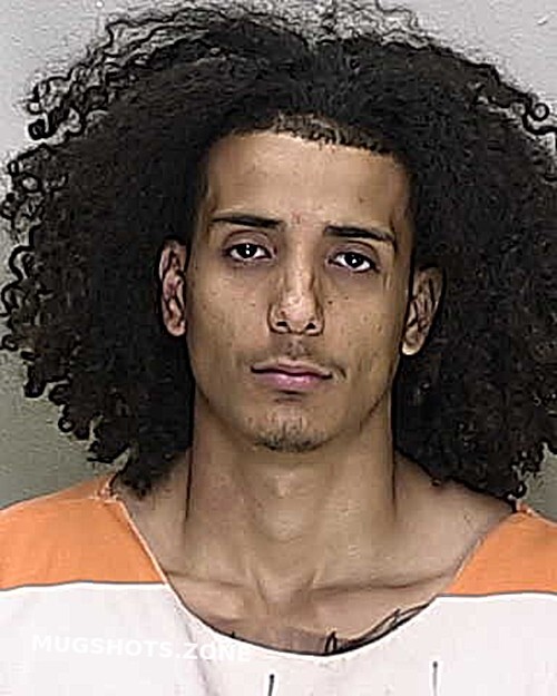 ALVARADO HERREROS ELIASH JASHIM 03/03/2023 - Marion County Mugshots Zone