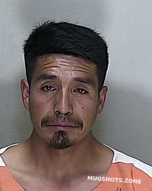 MORALES ALFREDO 03/12/2023 - Marion County Mugshots Zone