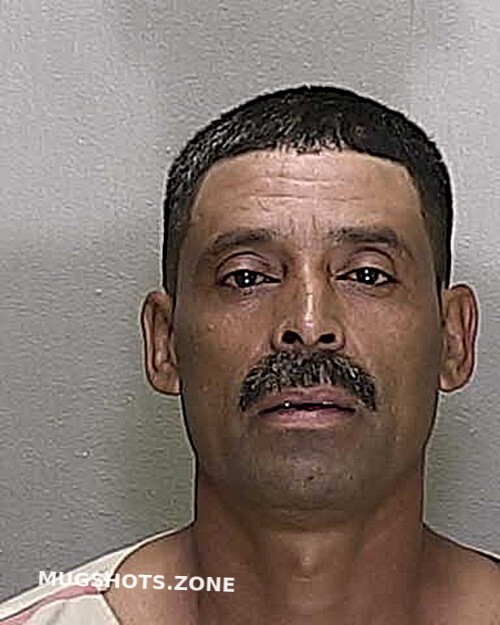 FIGEROA ANGEL 08/25/2023 - Marion County Mugshots Zone