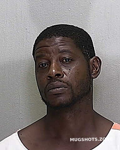 THOMAS SHELDON 08/28/2023 - Marion County Mugshots Zone