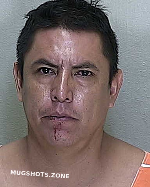 DOMINGUES- IGNACIO EDGAR 08/29/2023 - Marion County Mugshots Zone