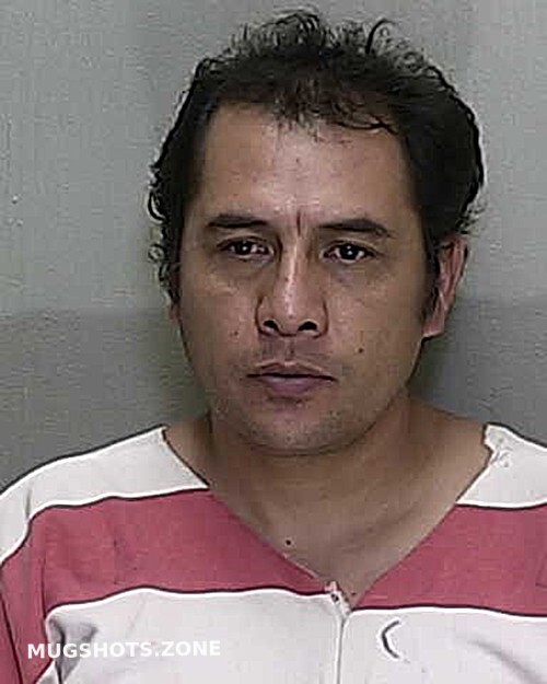 LUNA CATALAN JOSE FERNANDO 10/06/2023 - Marion County Mugshots Zone