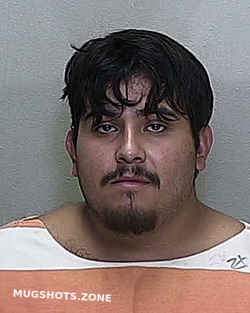 OGAZ JESUS ANDRES 11/22/2023 - Marion County Mugshots Zone