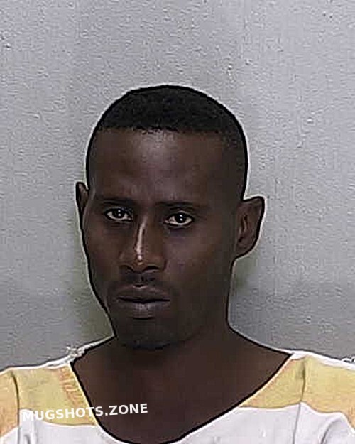 ORIENT ALLAN 11/24/2023 - Marion County Mugshots Zone