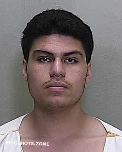 Sanchez Jeremy 11 28 2023 Marion County Mugshots Zone