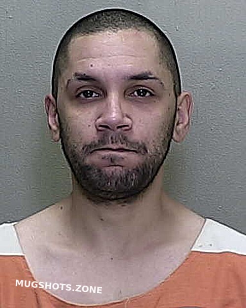 ORTIZ-SEPULVEDA ANDREW 11/29/2023 - Marion County Mugshots Zone
