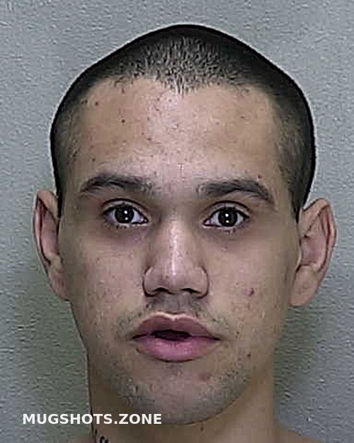 TORRES LUIS DANIEL JR 01/17/2024 - Marion County Mugshots Zone