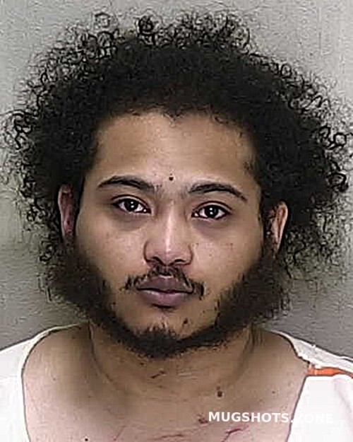 BANKASINGH RAMONE JAVON 01/26/2024 - Marion County Mugshots Zone