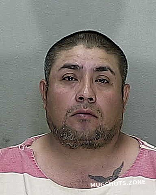 VILLEDA JAVIER CHAVEZ 02/27/2024 - Marion County Mugshots Zone