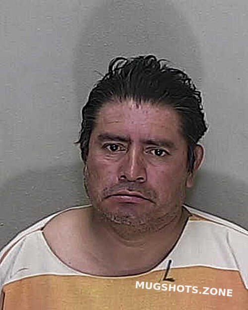 LOPEZ DIAZ IRAN 04/03/2024 - Marion County Mugshots Zone