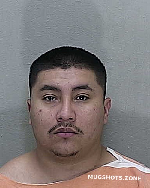 GONZALES-VARGAS JOSE 04/05/2024 - Marion County Mugshots Zone