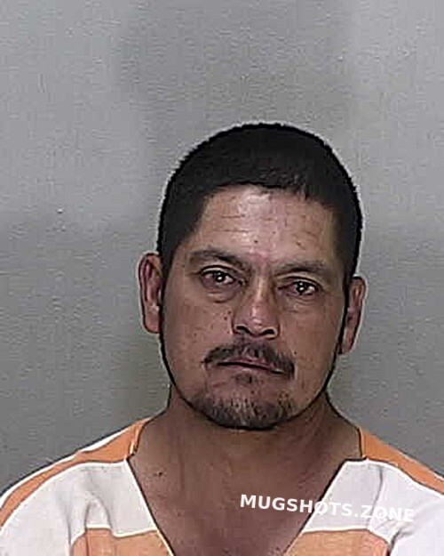 MIRANDA LUNA HECTOR 04/07/2024 - Marion County Mugshots Zone