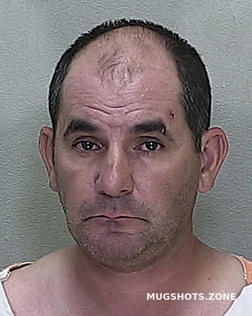 ARKOUB REDA 05/12/2024 - Marion County Mugshots Zone