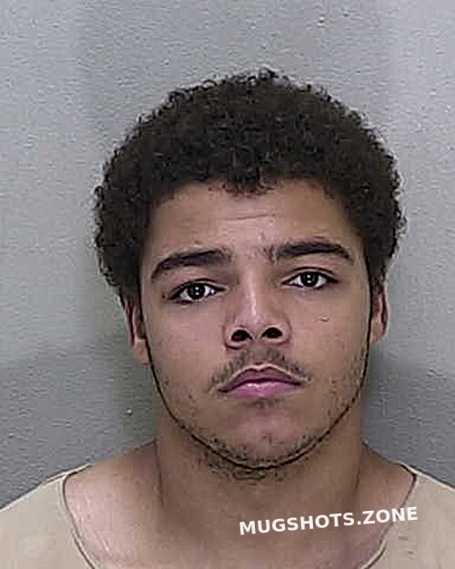 HOWARD CALVIN LEE 05/13/2024 - Marion County Mugshots Zone