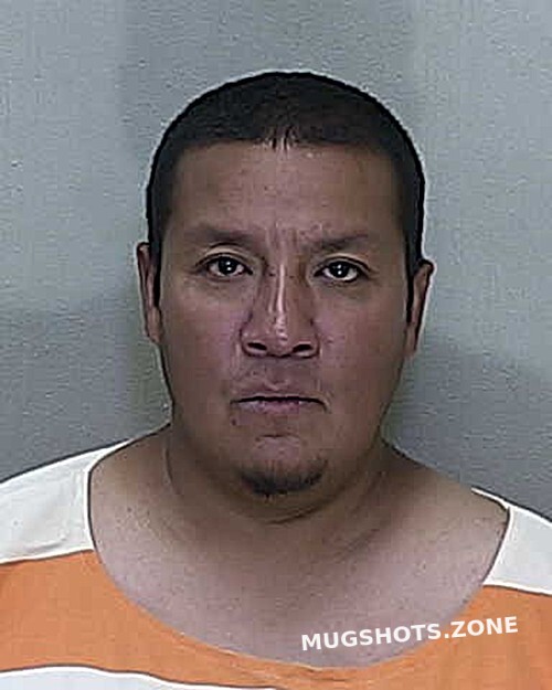 CANALES JOSEPH MICHAEL 05/24/2024 - Marion County Mugshots Zone