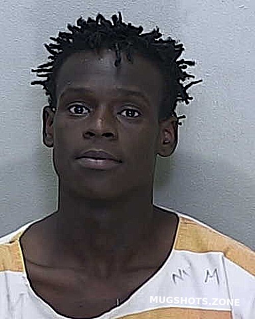 WEBB SIDNEY JR 05/31/2024 - Marion County Mugshots Zone