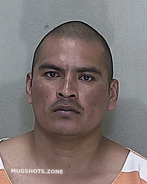 APARICIO GREGORIO BOLANOS 07/01/2024 - Marion County Mugshots Zone