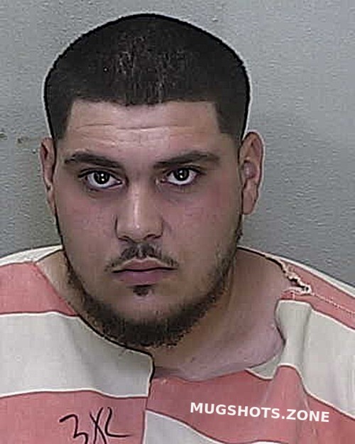 NICULAE IONUT GABRIEL 07/22/2024 - Marion County Mugshots Zone