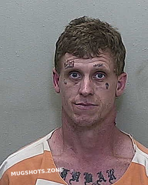 GODWIN WILLIAM MARSHALL 04/07/2025 - Marion County Mugshots Zone