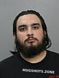 WILLIAMSON SHANE ROLAND 09/30/2024 - Marshall County Mugshots Zone