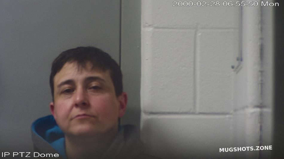 Pellerite Michelle Marie 11 08 2022 Mason County Mugshots Zone