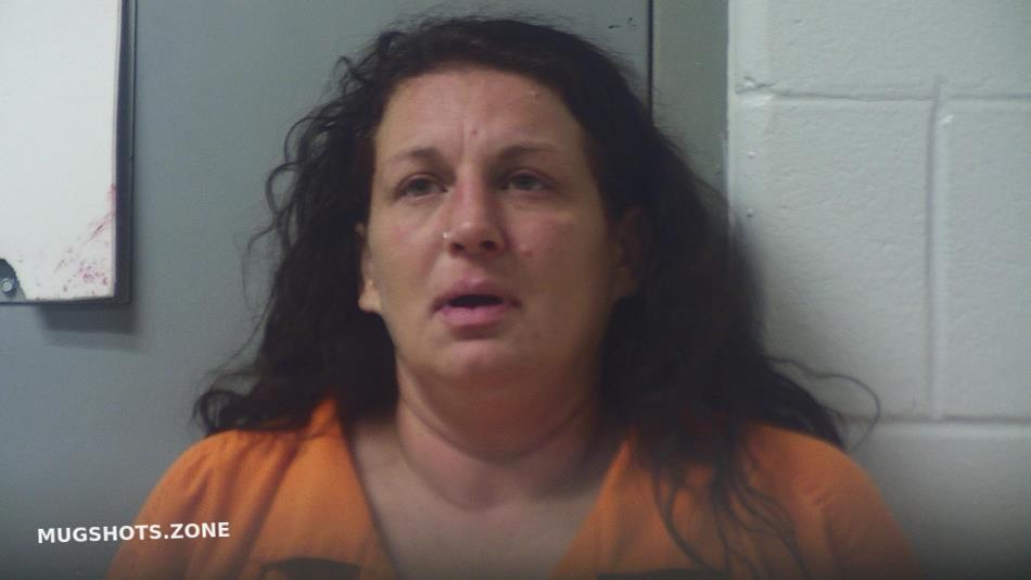 COOK CHRYSTAL D 11/15/2023 - Mason County Mugshots Zone