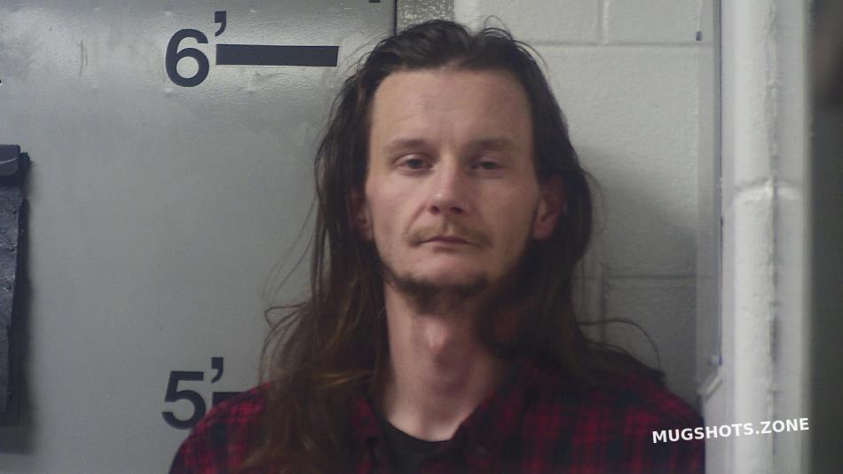 GOLDEN TREVOR L 03/05/2025 - Mason County Mugshots Zone