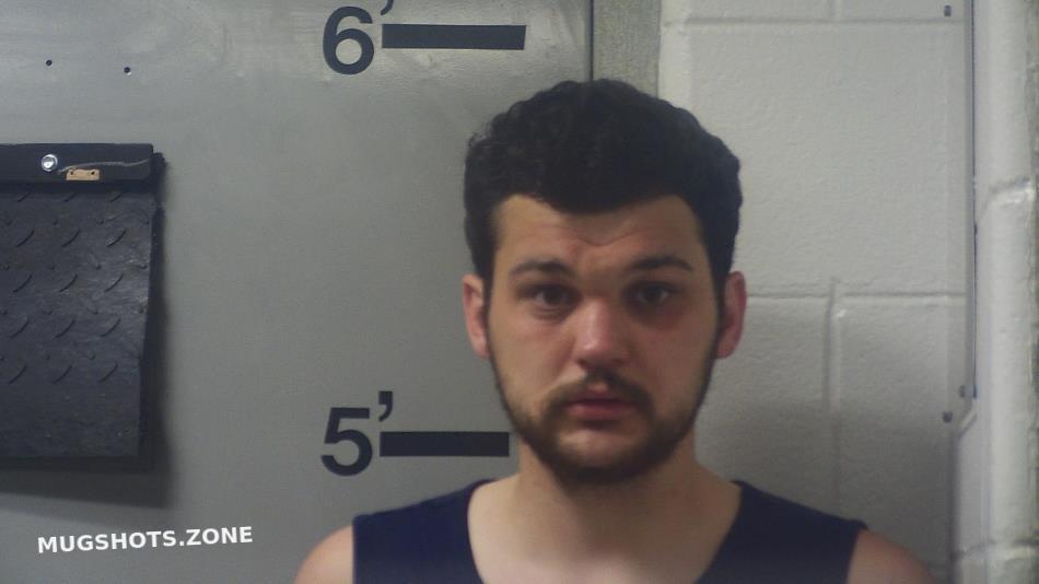 DAVIS DYLAN S 03/31/2025 - Mason County Mugshots Zone