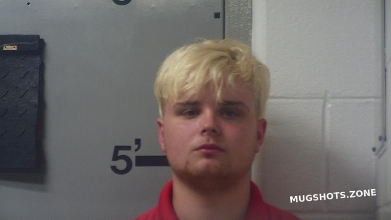 SAYRE AIDEN C 07/25/2025 - Mason County Mugshots Zone