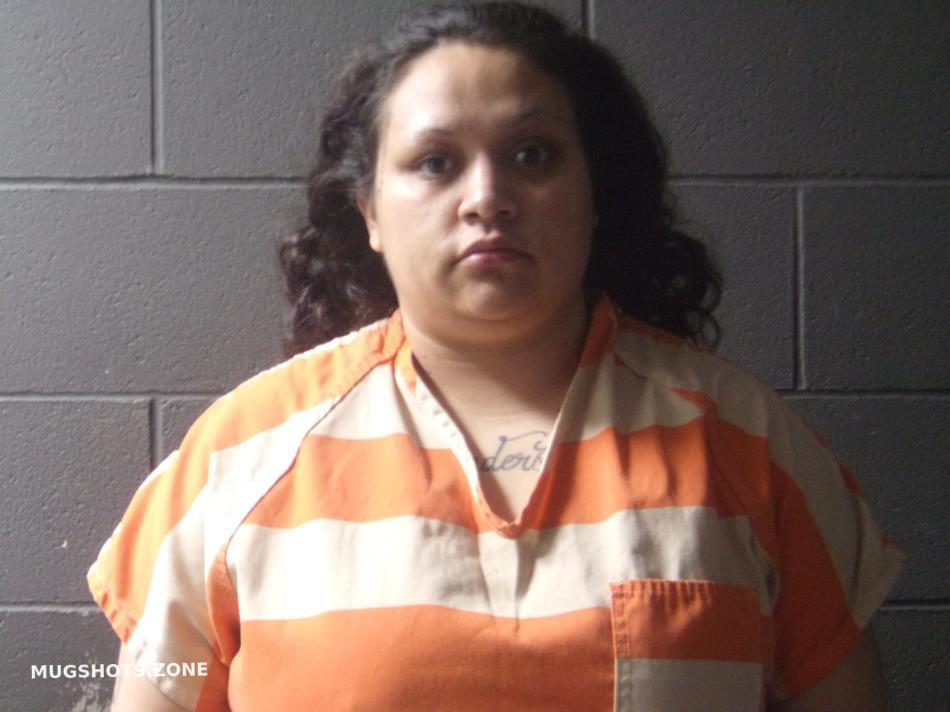 PINEDA KAYLA N 04/03/2024 - Mcdonald County Mugshots Zone