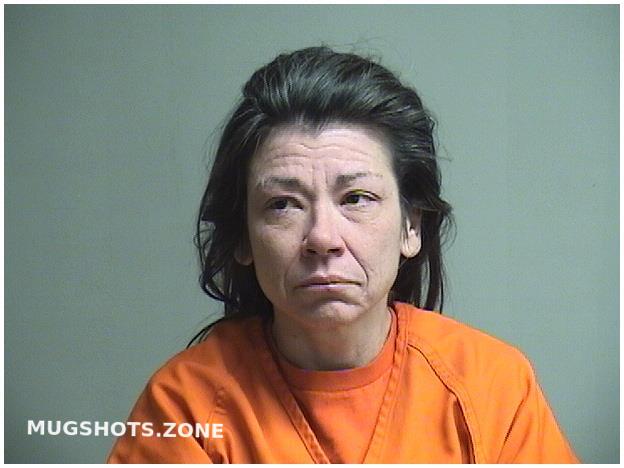 LUDWIG MICHELLE LEE 02/06/2024 - Mchenry County Mugshots Zone