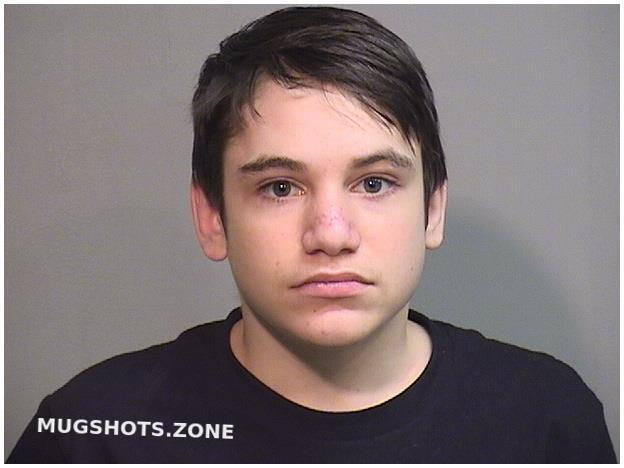 LORING MATTHEW JACOB 02/14/2024 - Mchenry County Mugshots Zone
