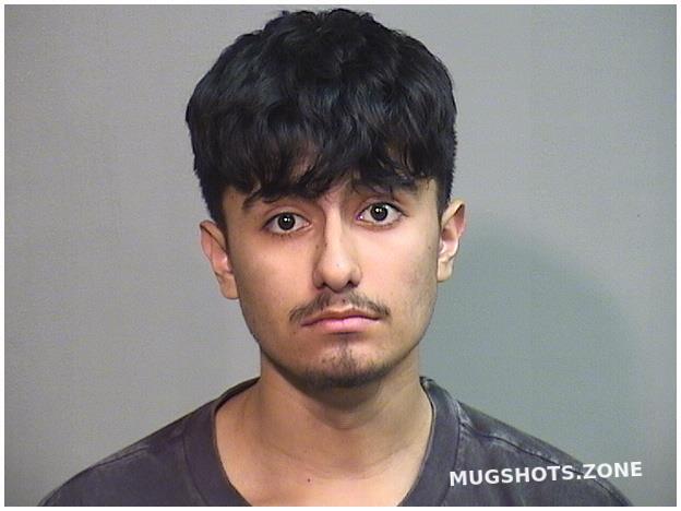 ALZATE KEVIN 03/02/2024 - Mchenry County Mugshots Zone