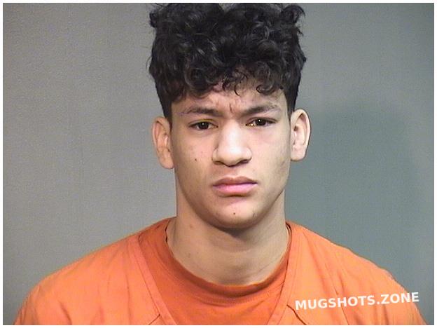 ORTIZ JUSTIN JULIANO 03/31/2024 - Mchenry County Mugshots Zone
