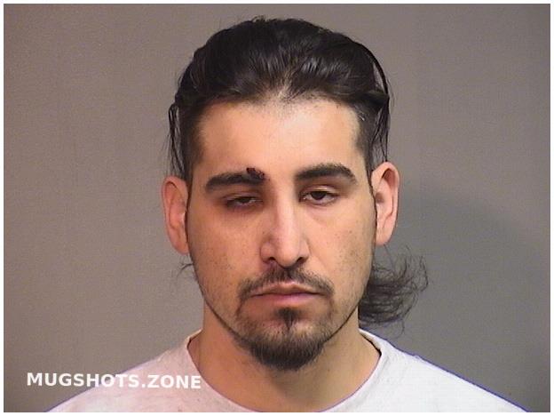GARCIA LUIS ENRIQUE 04/11/2024 - Mchenry County Mugshots Zone