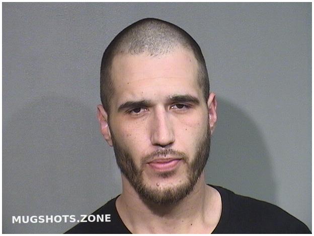 HOFF MATTHEW KENNETH 06/10/2024 - Mchenry County Mugshots Zone