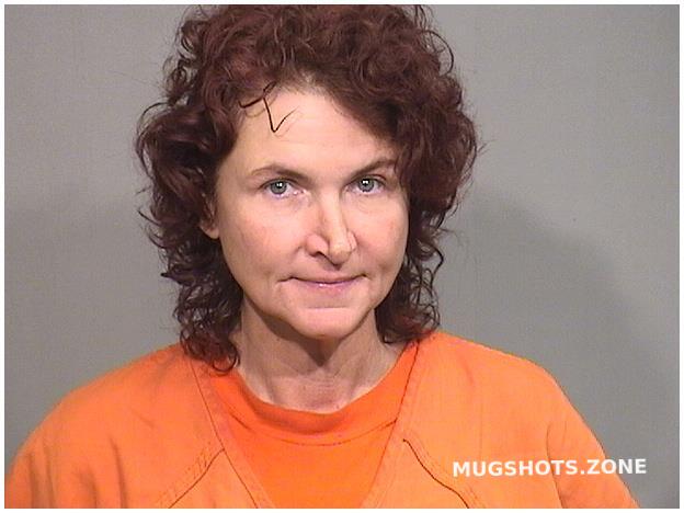LEE SHELLY KAY 06/20/2024 - Mchenry County Mugshots Zone