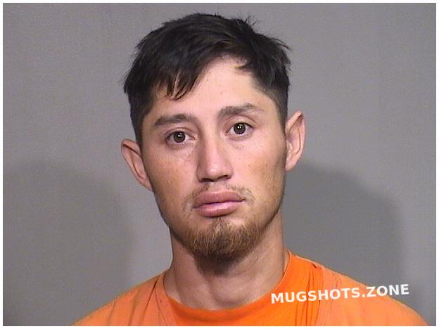 RAMOS-VELASQUEZ BRANDY OBED 07/26/2024 - Mchenry County Mugshots Zone
