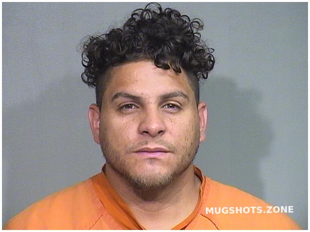 ROBLES SERGIO 08/26/2024 - Mchenry County Mugshots Zone
