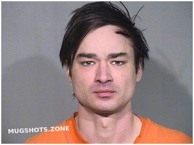 COLLINS SEAN G 02/06/2025 - Mchenry County Mugshots Zone