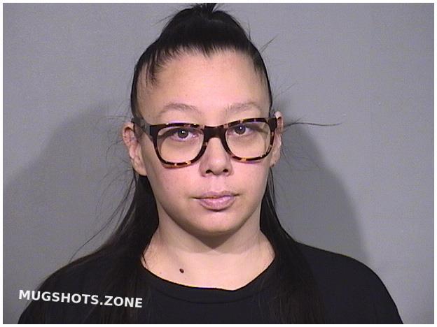 LYLE TRISTA M 02/28/2025 - Mchenry County Mugshots Zone