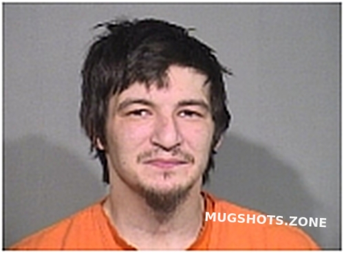 BRANDON BRANT 03/03/2025 - Mchenry County Mugshots Zone