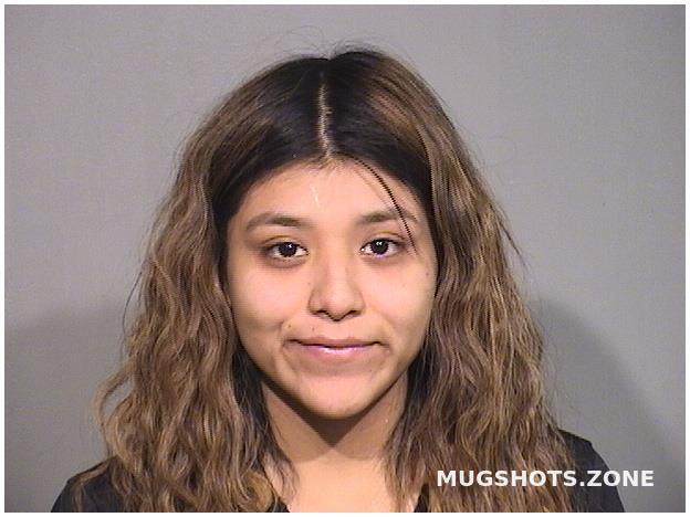ROJAS ESTEFANI S 03/18/2025 - Mchenry County Mugshots Zone