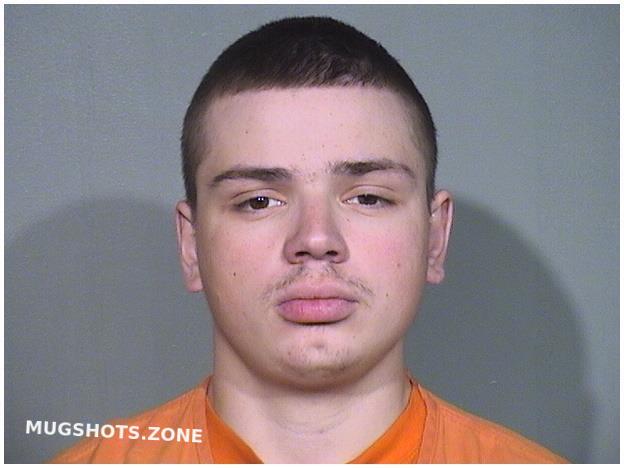 DAVIS TYLER A 04/15/2025 - Mchenry County Mugshots Zone