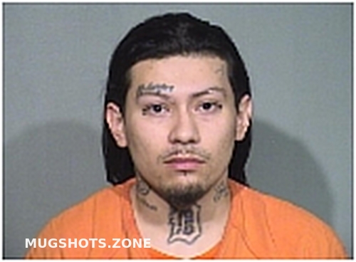 ENRIQUE ANGELES 04/18/2025 - Mchenry County Mugshots Zone