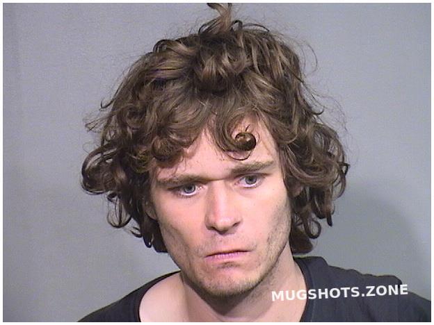 MILLER NICHOLAS A 04/20/2025 - Mchenry County Mugshots Zone